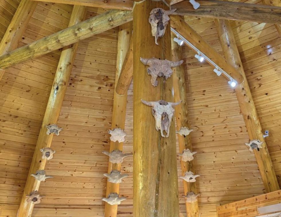Vore Buffalo Jump Foundation Opens New Exhibit of Bison Skulls - Belle ...